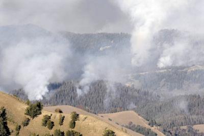 Purdy Fire grows to 7,900 acres on forest | Environmental ...