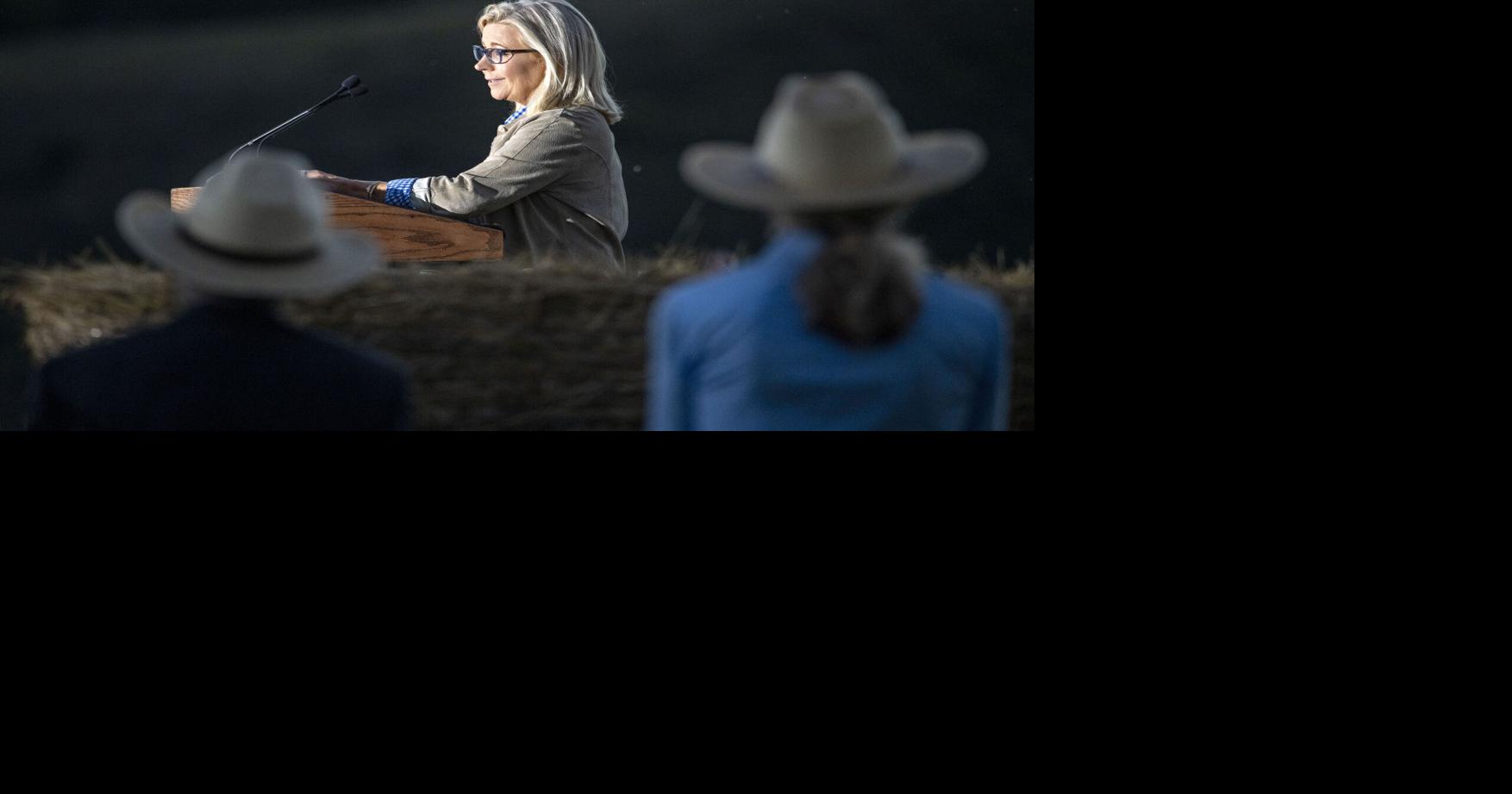 Three-term U.S. Rep. Liz Cheney concedes to Hageman in primary ...