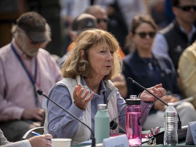 Grand Teton National Park eyes building 12 employee homes in Kelly ...
