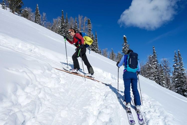 A beginner's guide to skinning and the backcountry | Outdoors ...