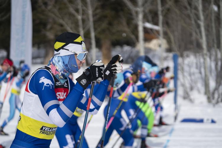 GALLERY: Moose Chase | Galleries | jhnewsandguide.com