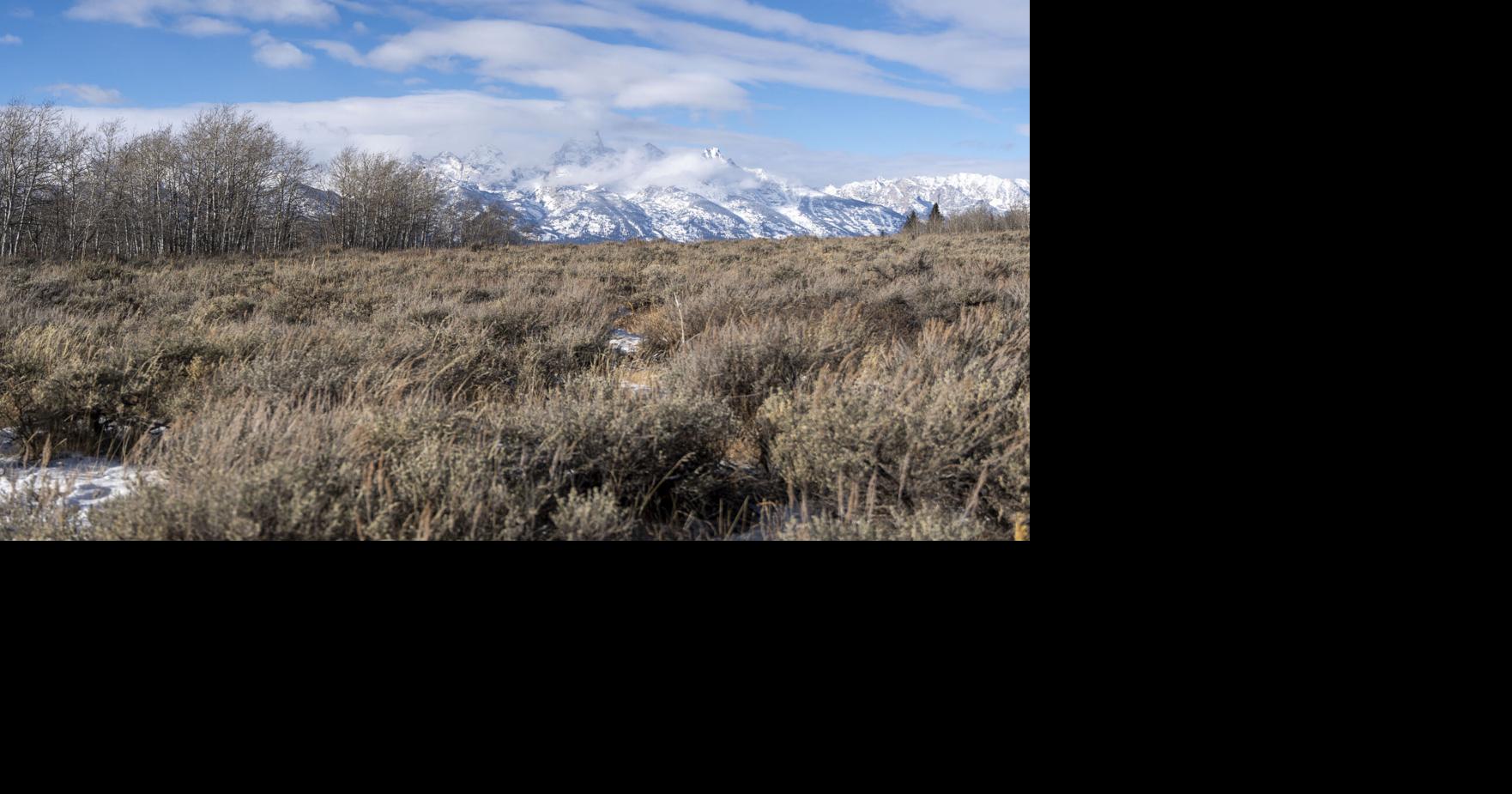 Fresh off Kelly Parcel sale, lawmakers seek to bar similar federal land ...