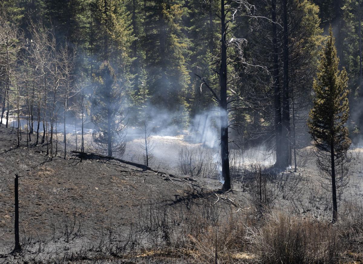 Trump administration order aggressive wildfire suppression ...
