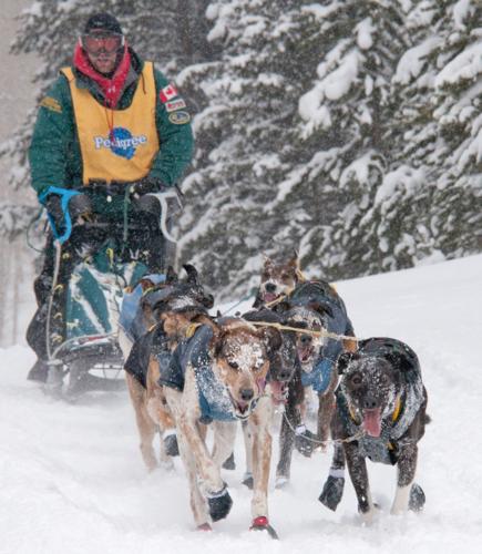 International Pedigree Stage Stop Sled Dog Race | Sports ...
