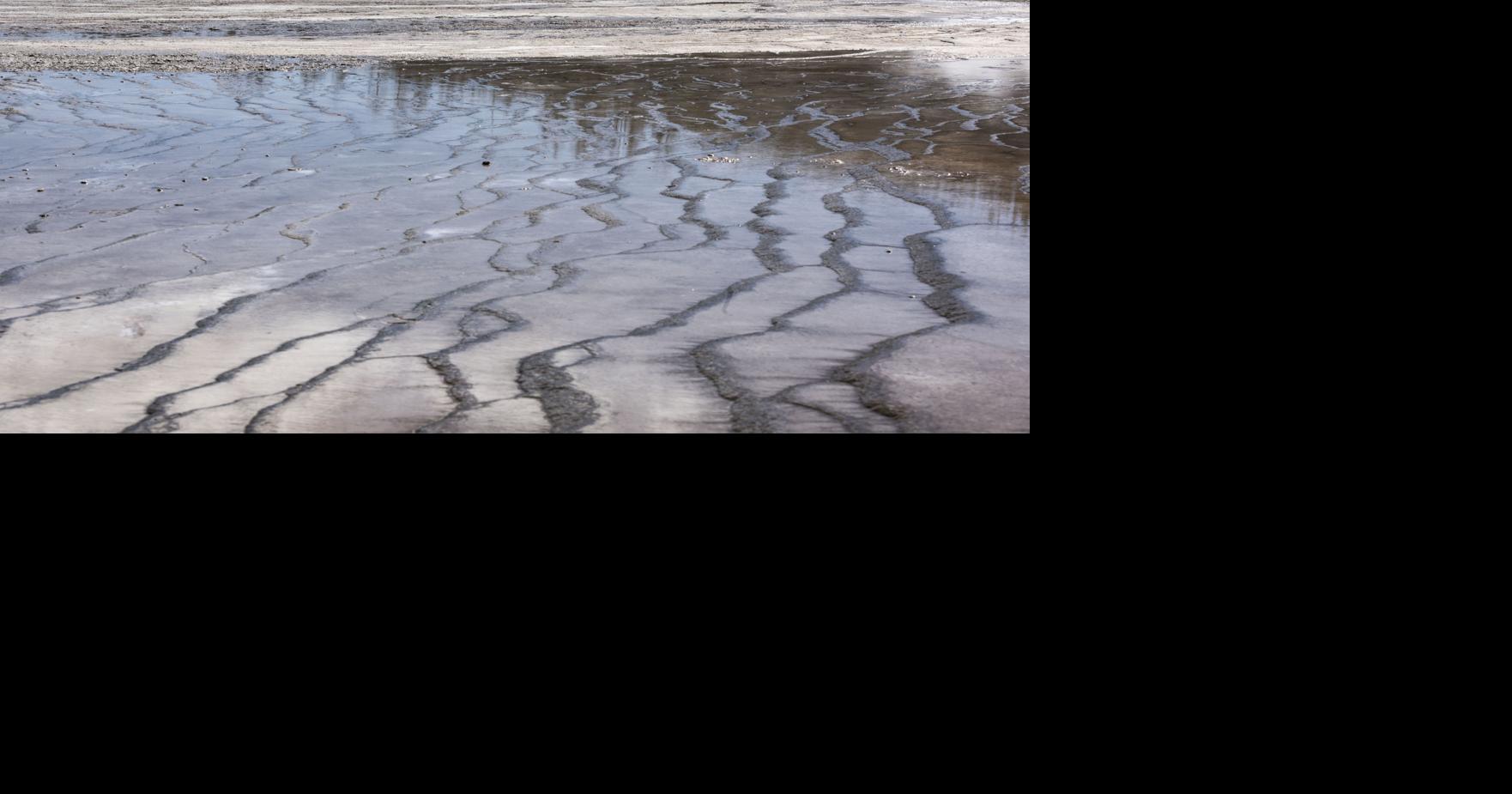 Microbes in Yellowstone pools add new limb to the tree of life ...