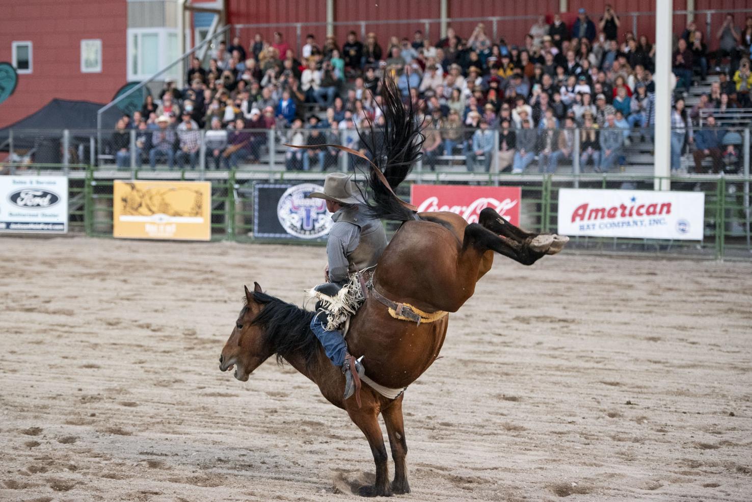Jackson Hole Rodeo | Sports | jhnewsandguide.com