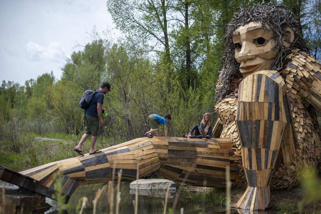 Shrouded in cottonwoods, Thomas Dambo's troll comes to life | Features ...
