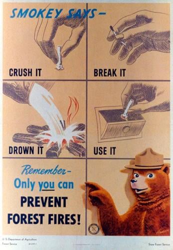 Only you: Forest Service's Smokey Bear campaign turns 80 | Features ...
