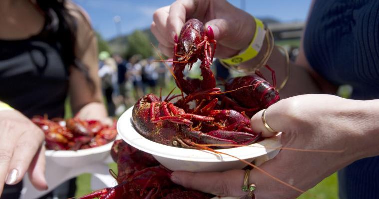 Crawfish boil brings the cajun spice | Events | jhnewsandguide.com