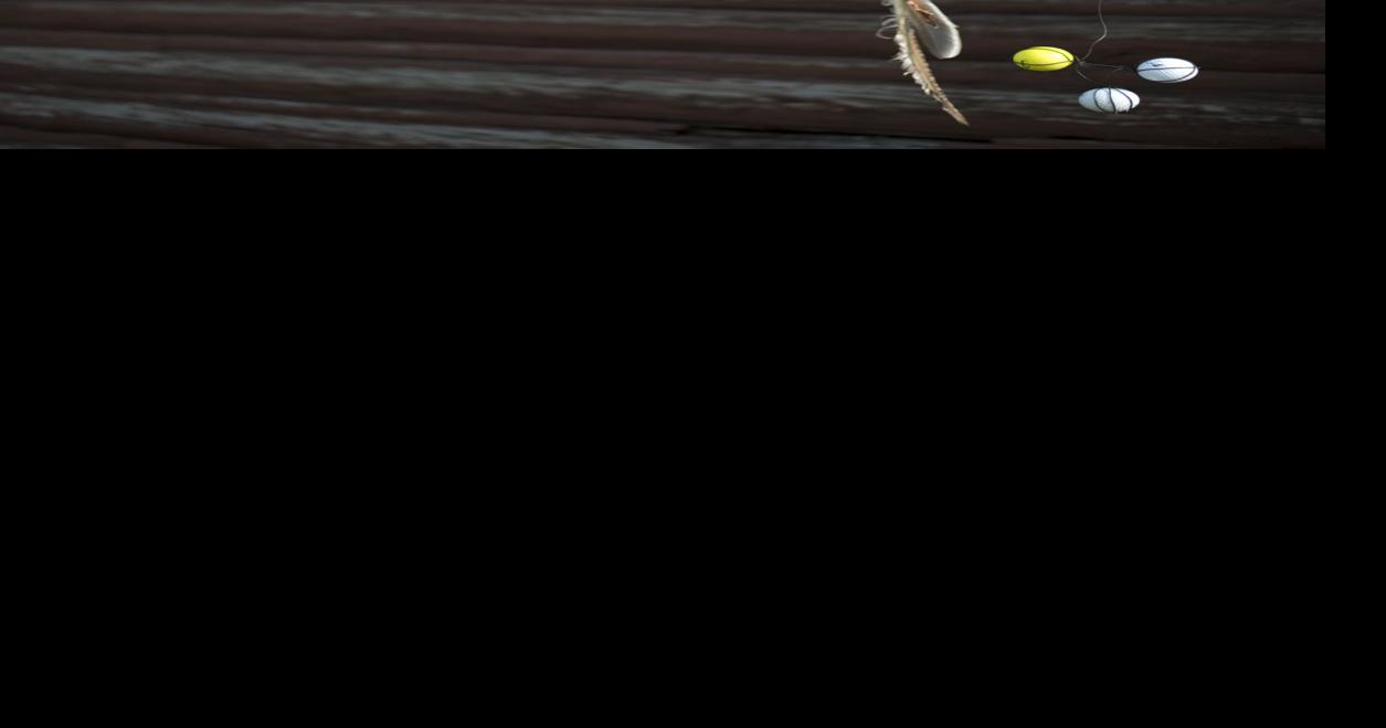 Karns Meadow inspires public art project | Features | jhnewsandguide.com