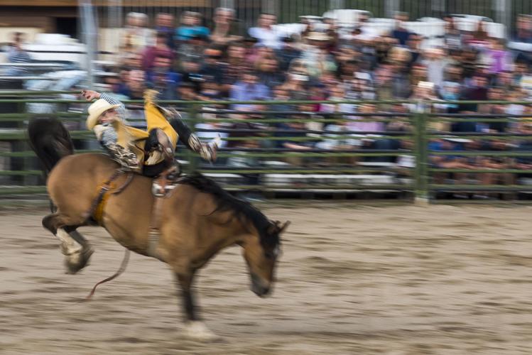 Traveling partners battle for bull riding title at Jackson Hole Rodeo ...