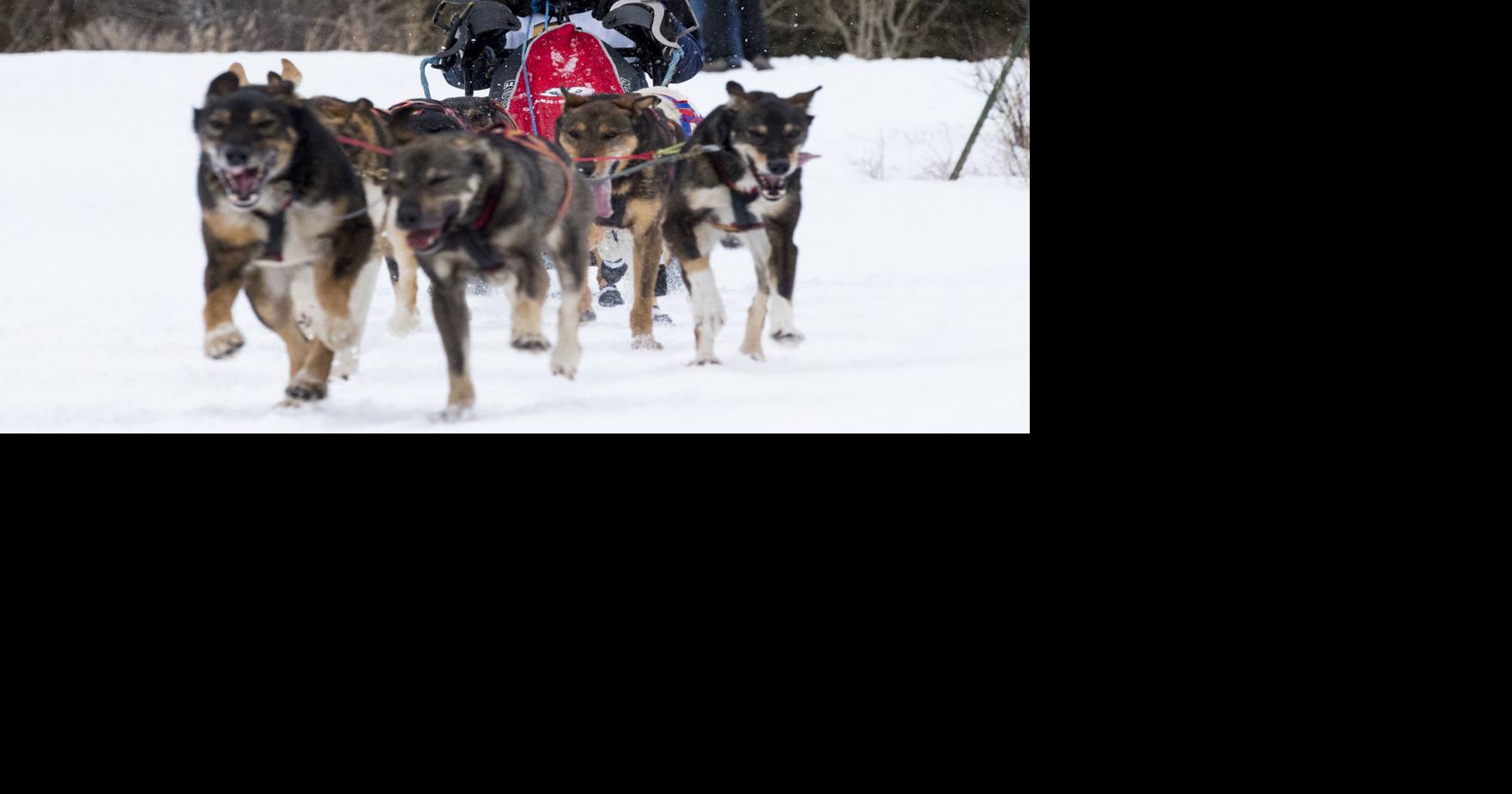 Stage Stop dog sled race schedule announced; 8-Dog Classic discontinued ...