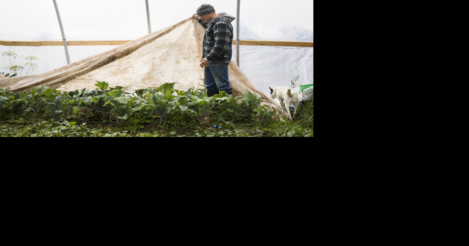Haderlie Farms is farming for the future (and composting too) | Chef ...