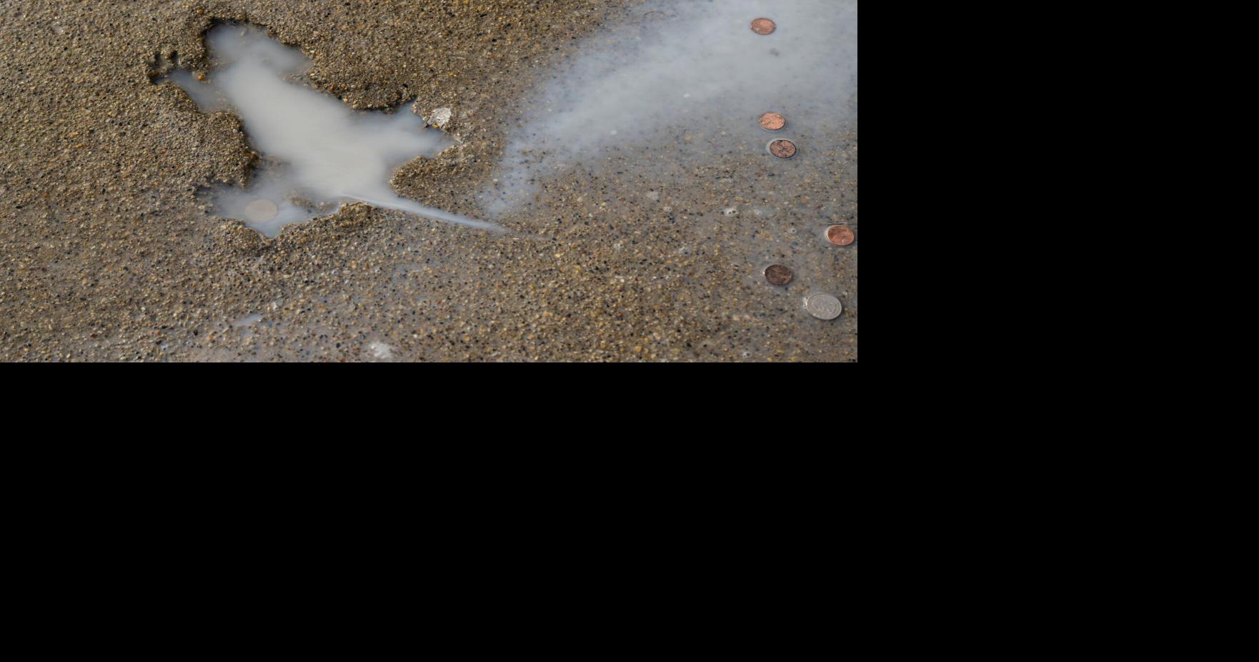 Ah, rats! Researchers say some other critter likely created Chicago's ...