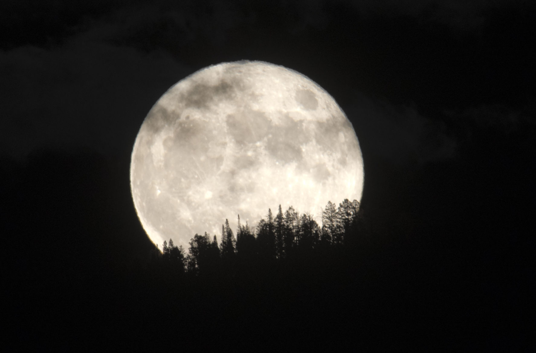 Rendezvous Park prepares for full moon fun | Events | jhnewsandguide.com