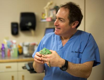 Avian influenza a small risk to songbirds | Columnists | jhnewsandguide.com