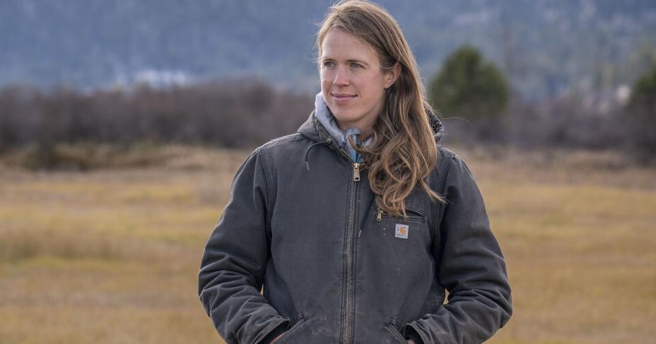 As wise as an owl: Researcher leads the field on great grays | The Hole ...