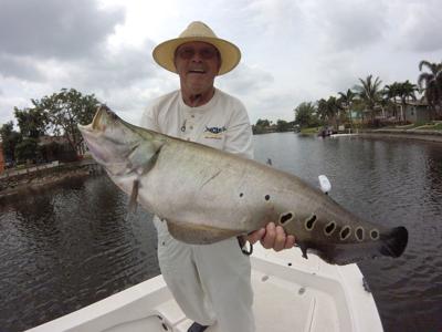 Jackson’s Stan Chatham tackles exotic fish | Outdoors | jhnewsandguide.com