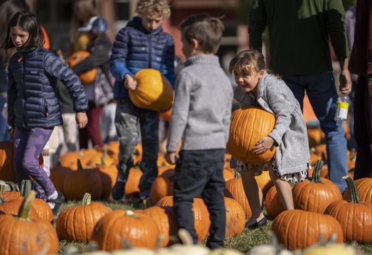 Pumpkin sale squashes years past | Features | jhnewsandguide.com