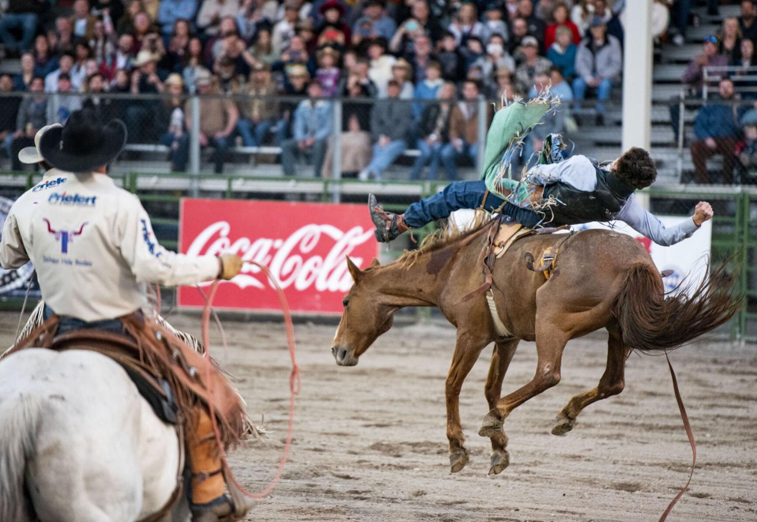 Jackson Hole Rodeo | Sports | jhnewsandguide.com