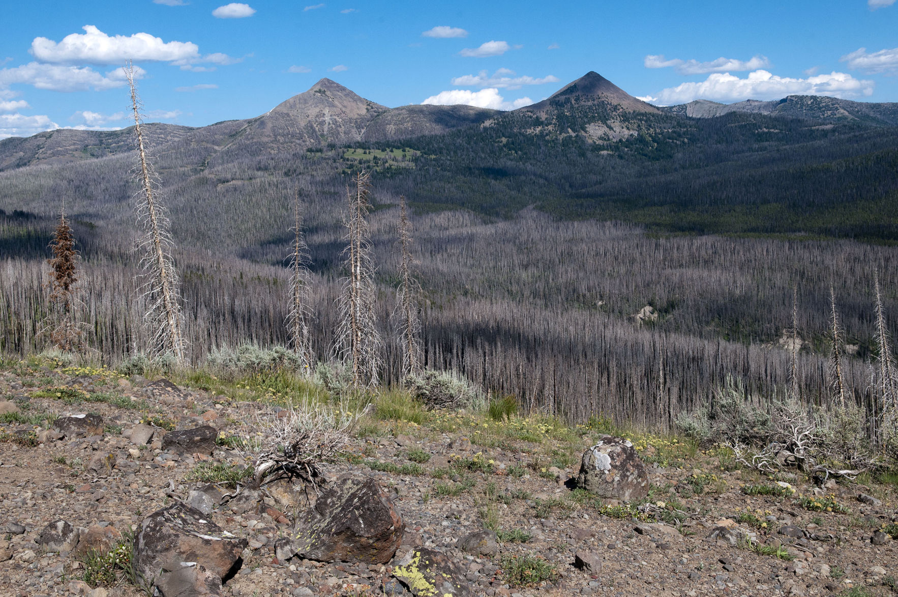 Disgraced park boss gave name to Mount Woodring | Environmental ...