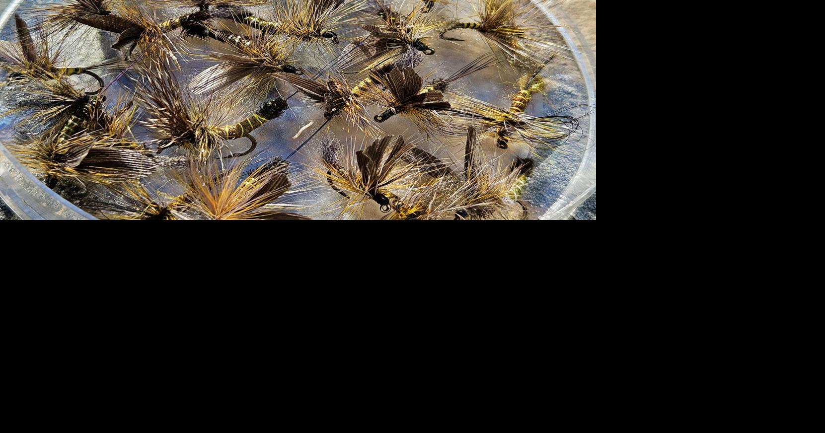 Green Drakes fit Shakespearean tragedy | Outdoors | jhnewsandguide.com