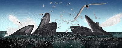 Scene Briefs | Arts | jhnewsandguide.com