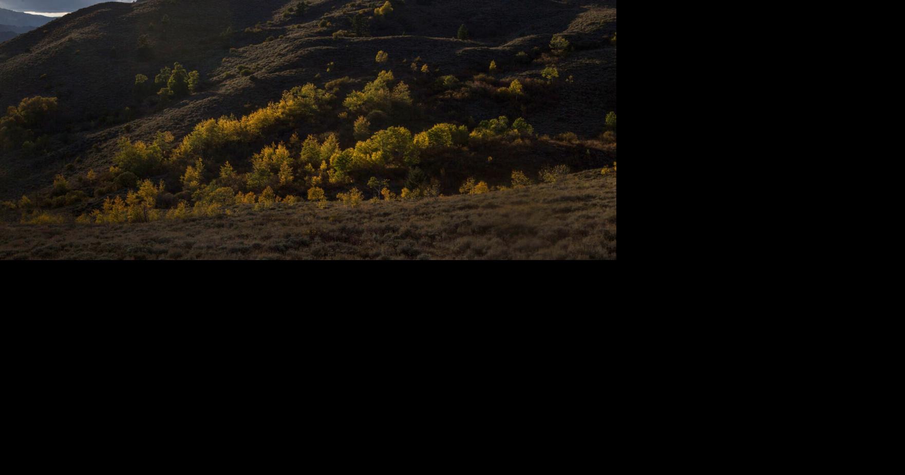 County moves to conserve state's 640 Munger Mountain acres | Town ...