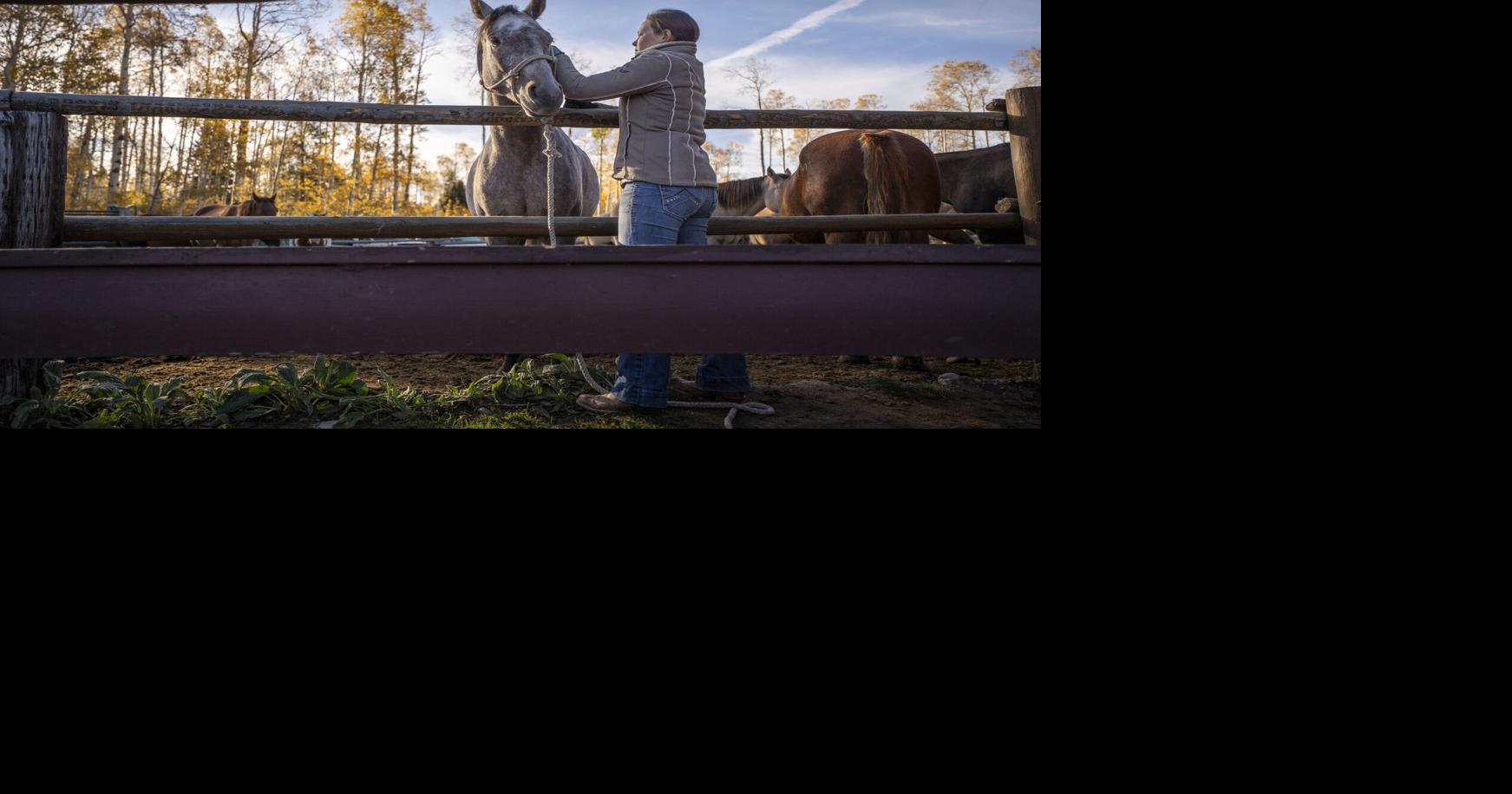 R Lazy S Ranch celebrates 75th anniversary | Features | jhnewsandguide.com