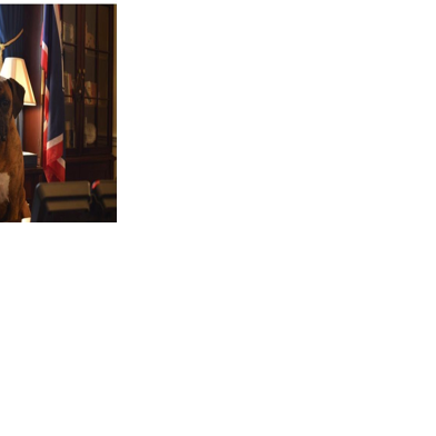 Cheney staffer's dog is finalist for 'Cutest Dogs on the Hill' | The ...