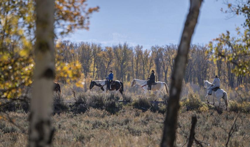 R Lazy S Ranch celebrates 75th anniversary | Features | jhnewsandguide.com