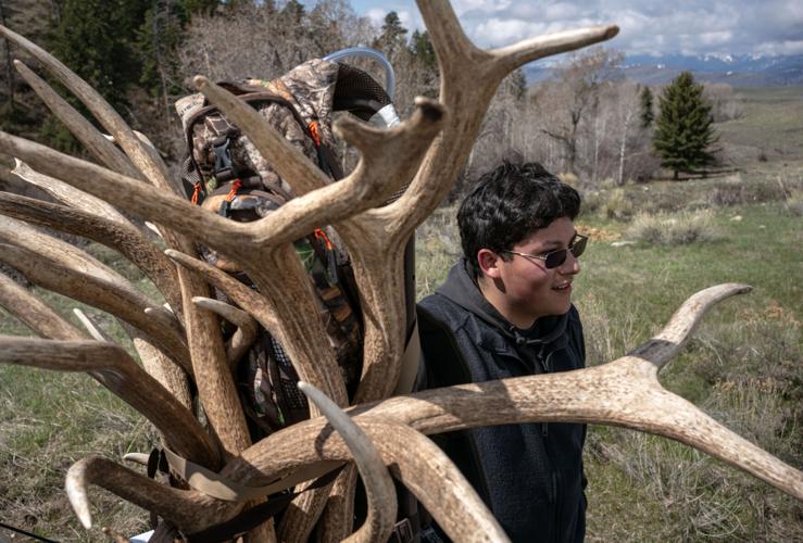 GALLERY: Shed Hunt 2025 | Multimedia | jhnewsandguide.com