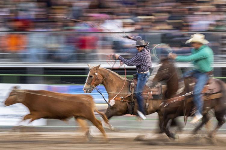 GALLERY: Jackson Hole Rodeo | Multimedia | jhnewsandguide.com