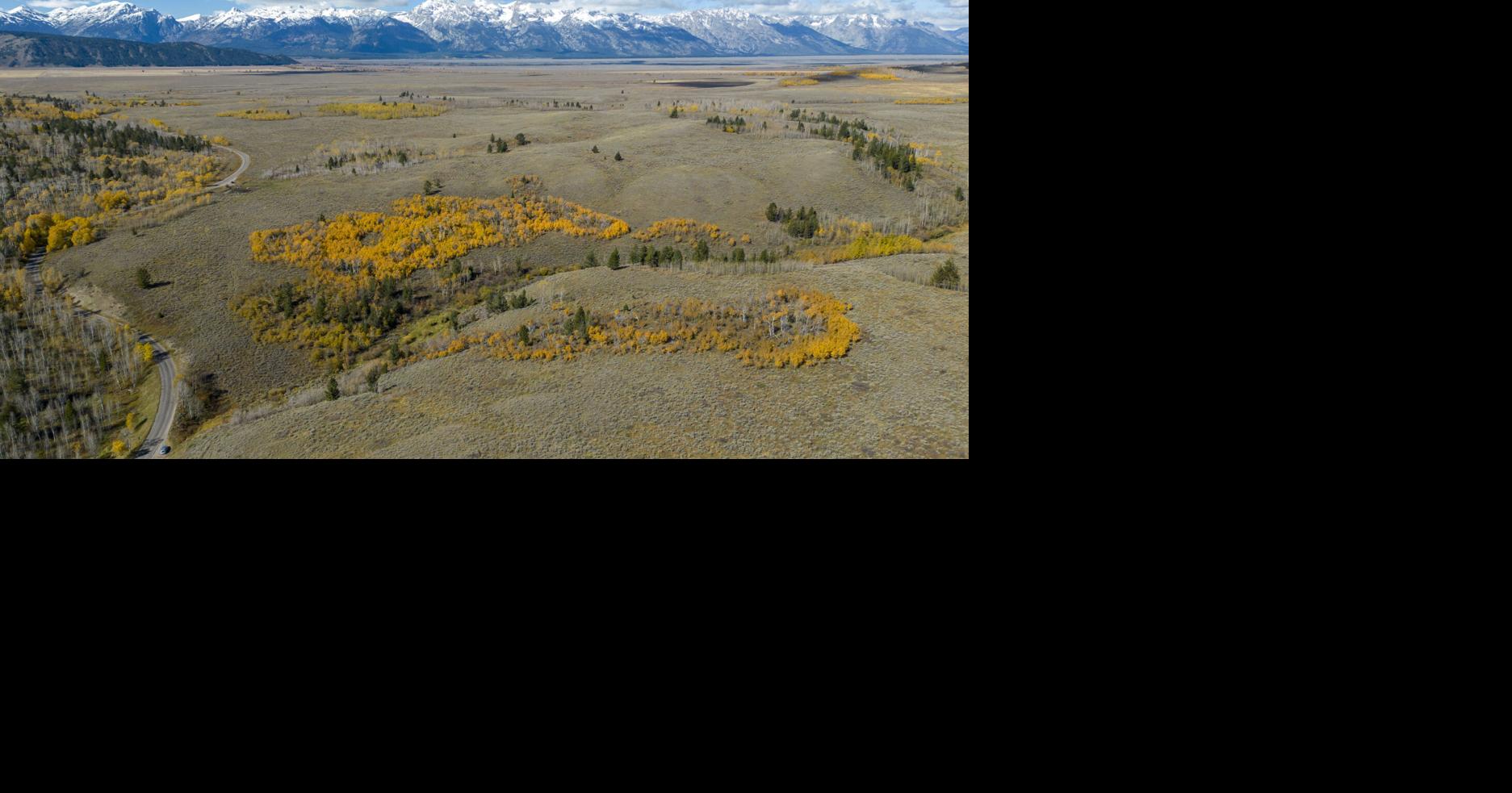 Dates set for meetings on Kelly parcel auction | Local | jhnewsandguide.com