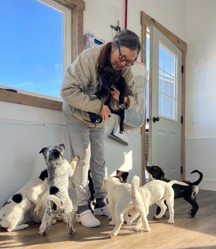 The poop queens of the palace | Valley Volunteers | jhnewsandguide.com