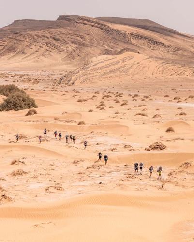 Staying a step ahead in the Sahara | Sports Features | jhnewsandguide.com