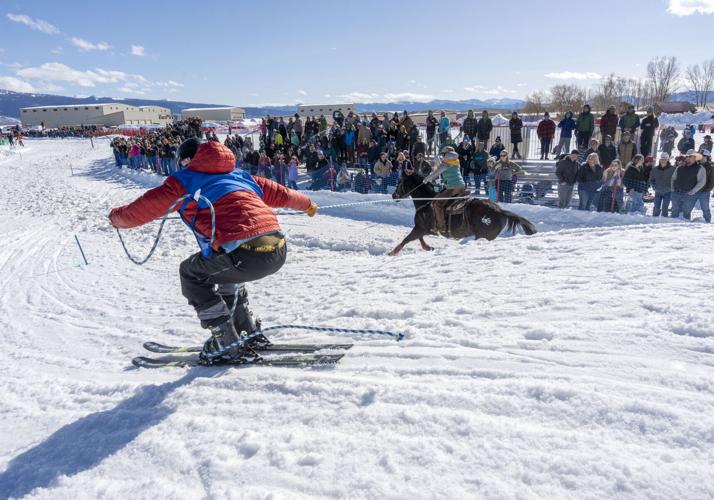 GALLERY: 2024 Teton Valley Skijoring Grand Showdown | Multimedia ...