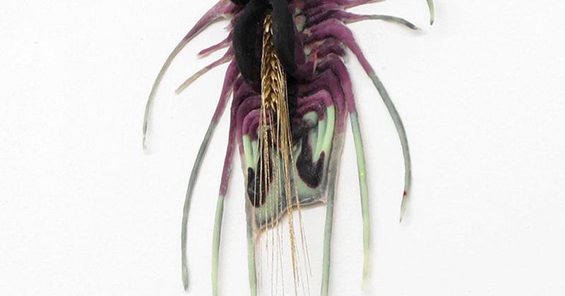 New gallery show explores ‘corporal forms’ | Arts | jhnewsandguide.com