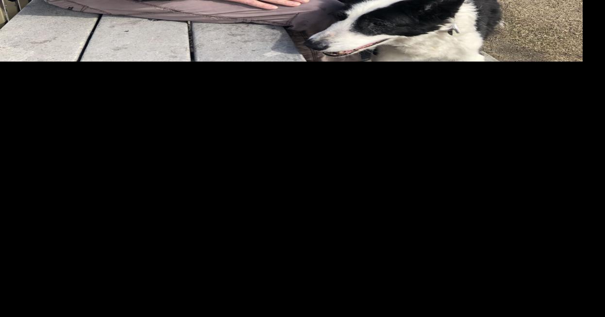 Strout, 77, was an architect with no ego | Features | jhnewsandguide.com