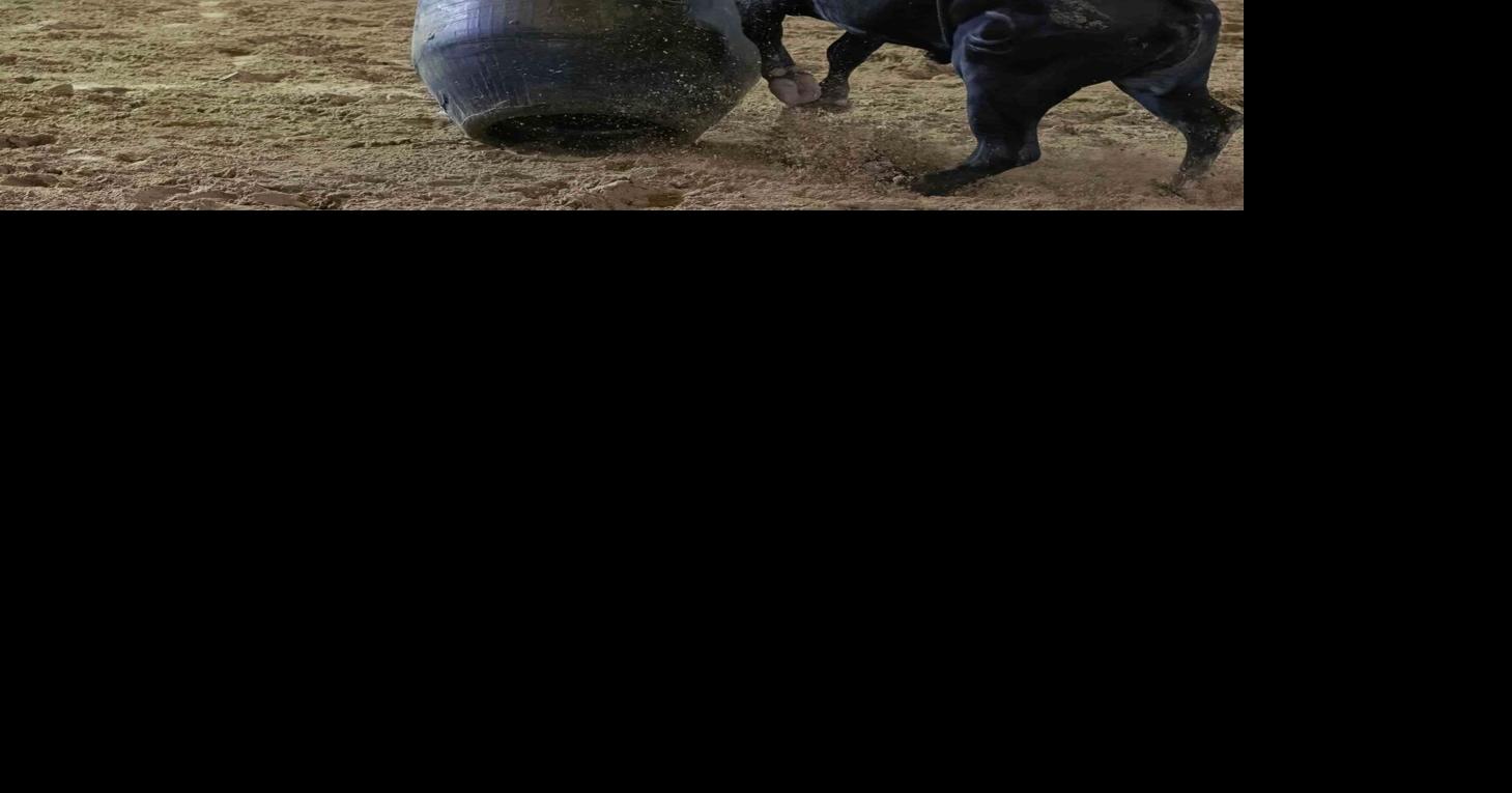 The faces behind cowboy protection | JH Rodeo | jhnewsandguide.com