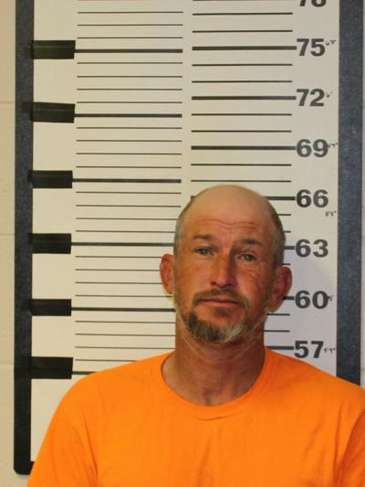 Shed poachers hit hard | Local | jhnewsandguide.com