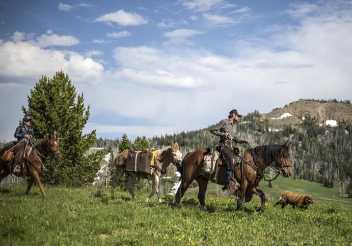 Galloway Clover dies after long second act | Features | jhnewsandguide.com