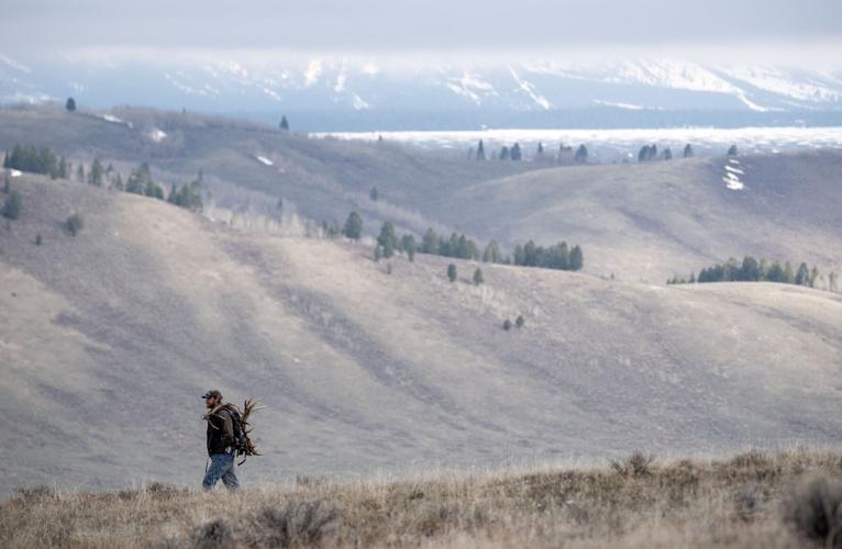 GALLERY: Shed Hunt 2025 | Multimedia | jhnewsandguide.com