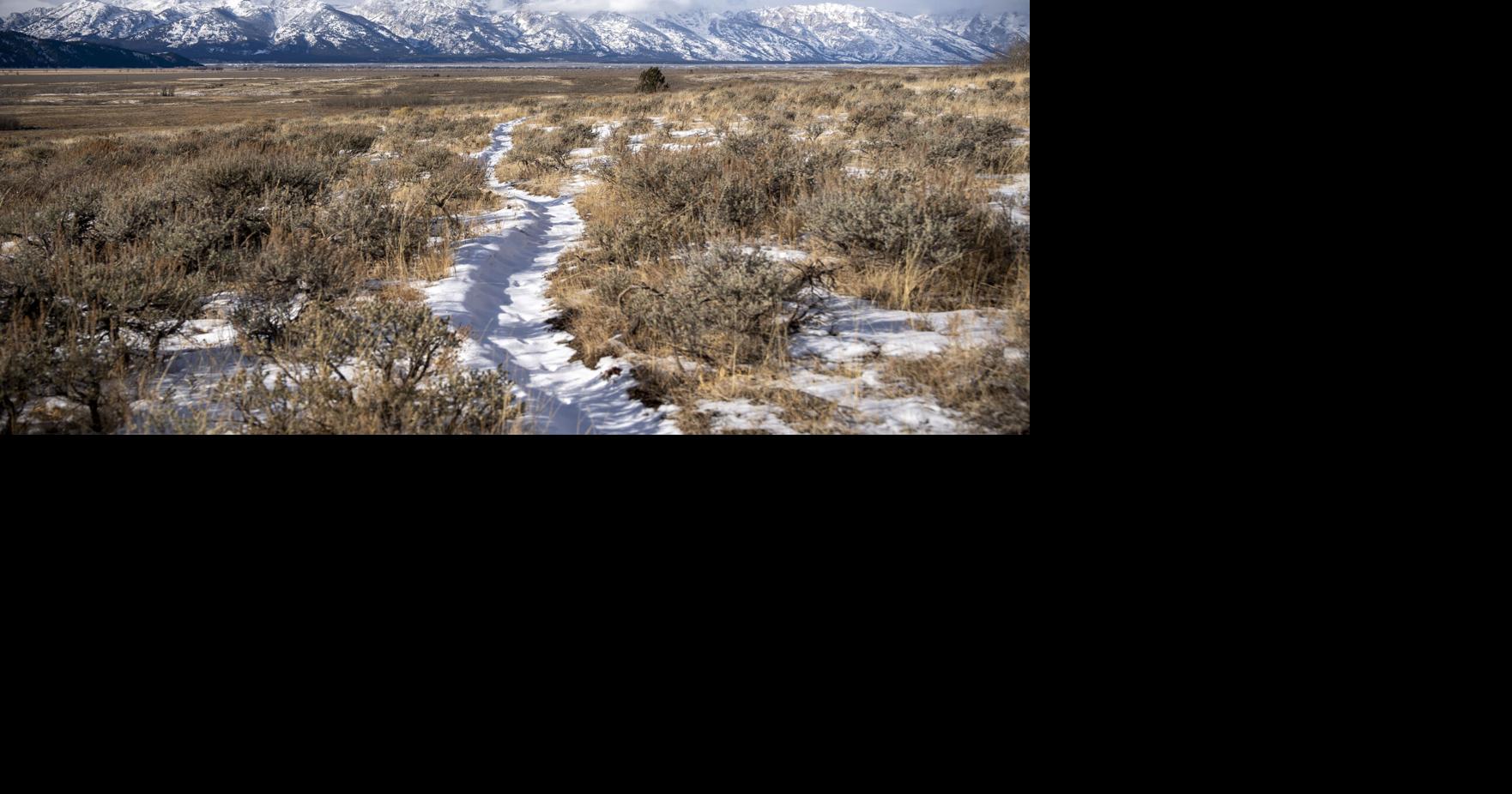 Gordon reviewing Kelly parcel sale after BLM publishes Rock Springs ...