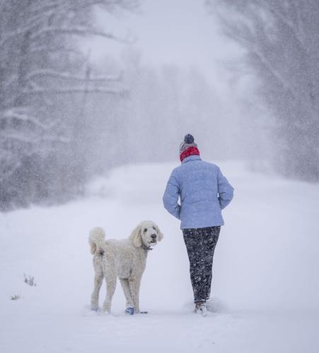 Illegal carcass dumping, CWD concerns rise with fees | Environmental ...