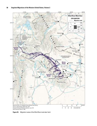 Mule deer corridor could be first Wyoming pursues without protections ...