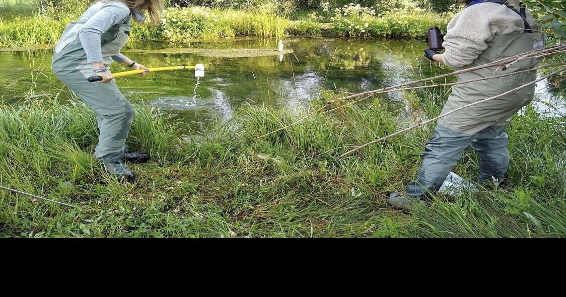 TODAY: What's behind fecal contamination in Fish and Flat Creeks? | The ...