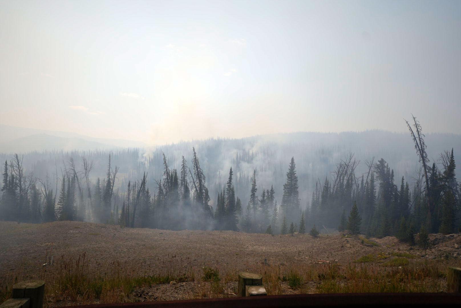 FISH CREEK FIRE UPDATE: Togwotee Pass reopens | Local | jhnewsandguide.com