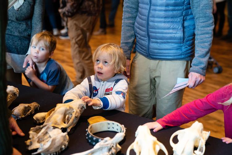 Museum hosts free programs | Arts | jhnewsandguide.com