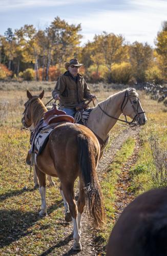 R Lazy S Ranch celebrates 75th anniversary | Features | jhnewsandguide.com